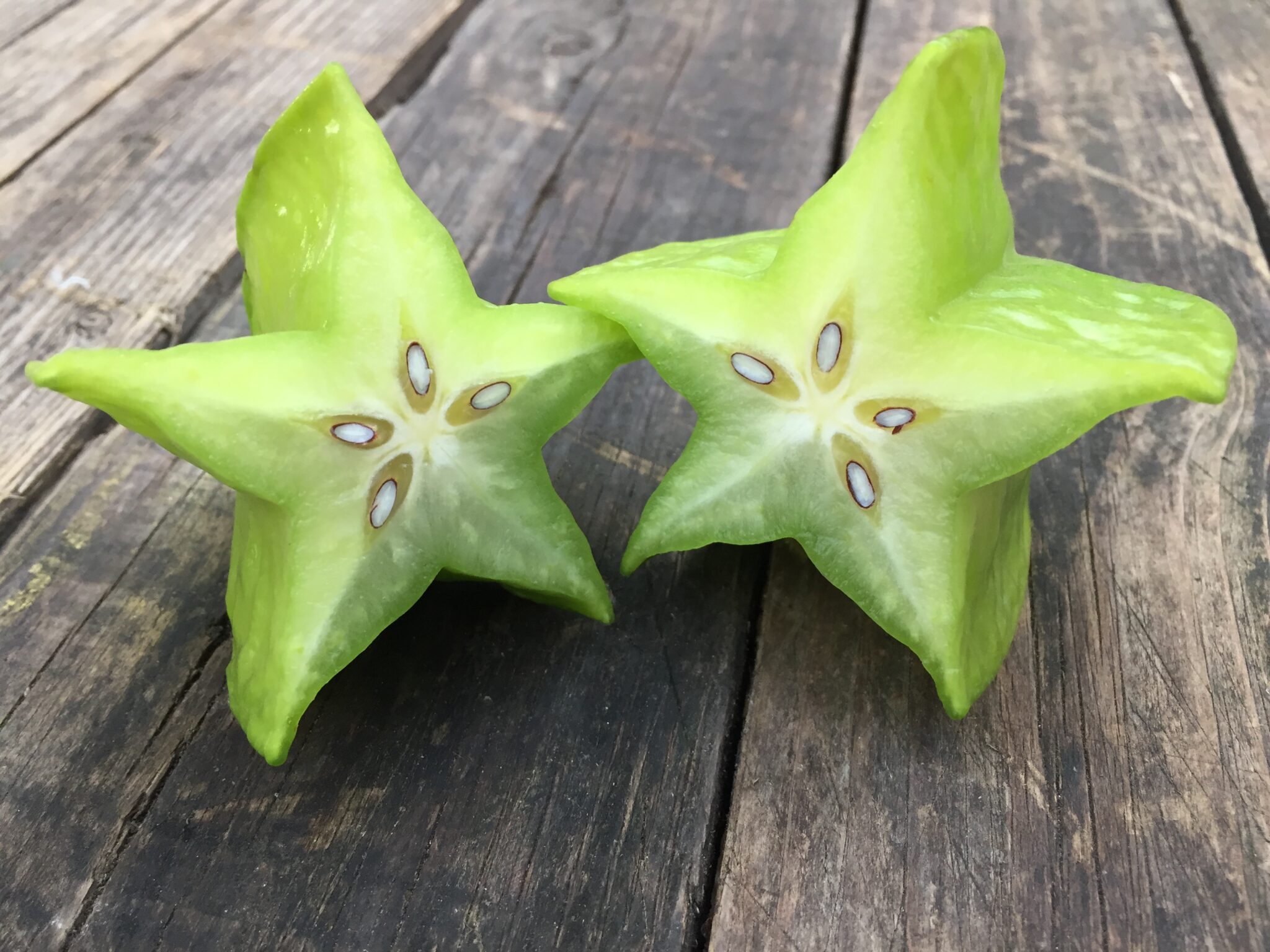 Averrhoa Carambola (Sterfruit/Stervrucht) – Plantencentrum Exotica