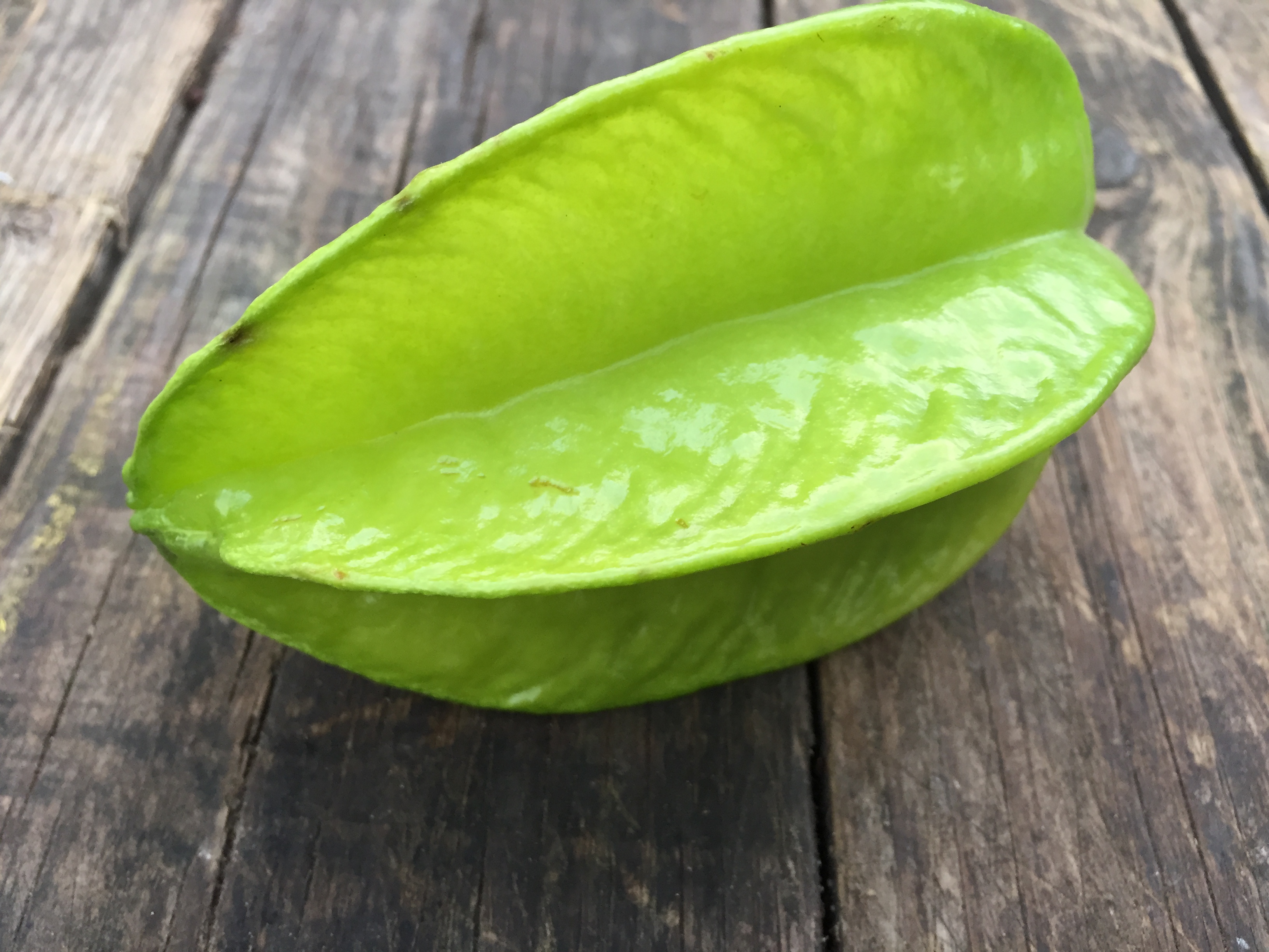 Averrhoa Carambola (Sterfruit/Stervrucht) | Plantencentrum Exotica